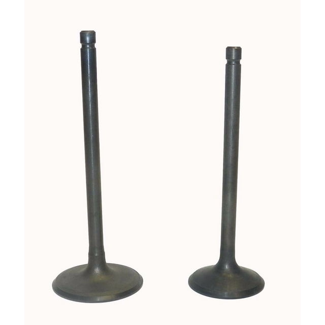 WSM Yamaha 700 Grizzly 2007-2024 Engine Valve Kit 017-314 - Walmart.com