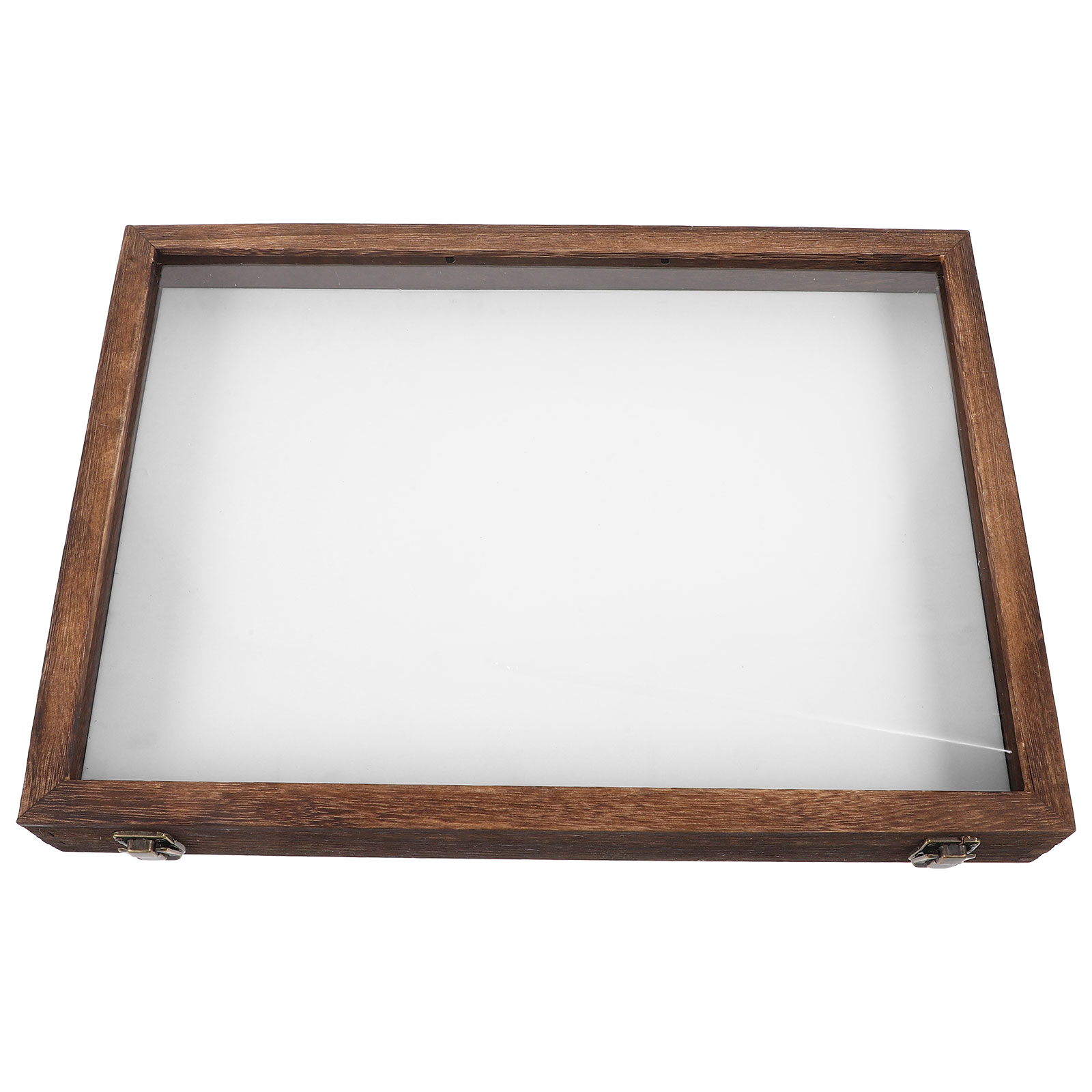 WSTEER Specimen Box Dried Flower Display Case Display Case Wooden ...