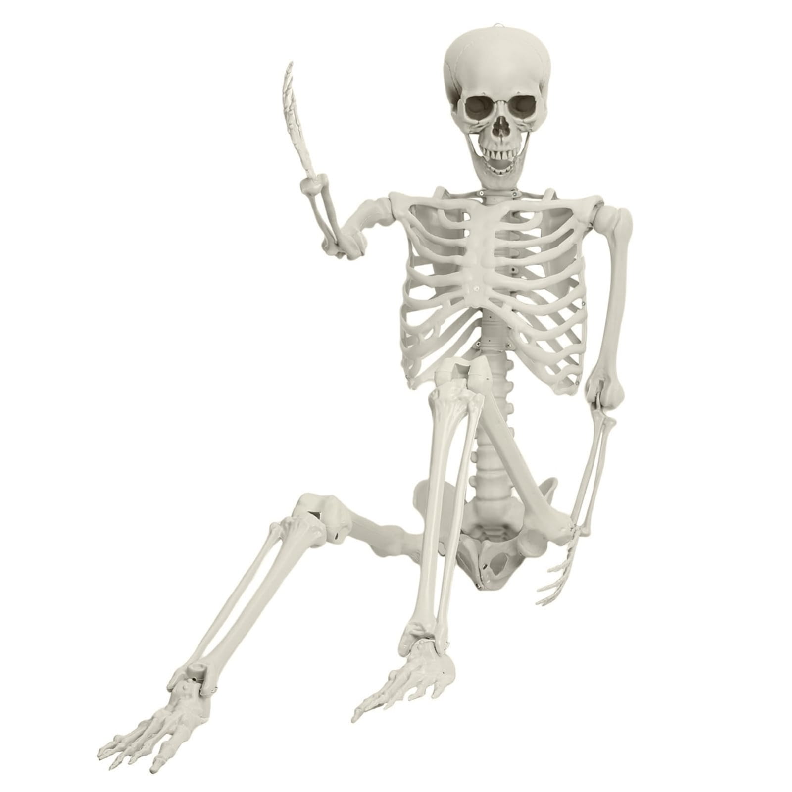 WSZZL Life Size Skeleton 5.4Ft Halloween Prop, Realistic Poseable ...