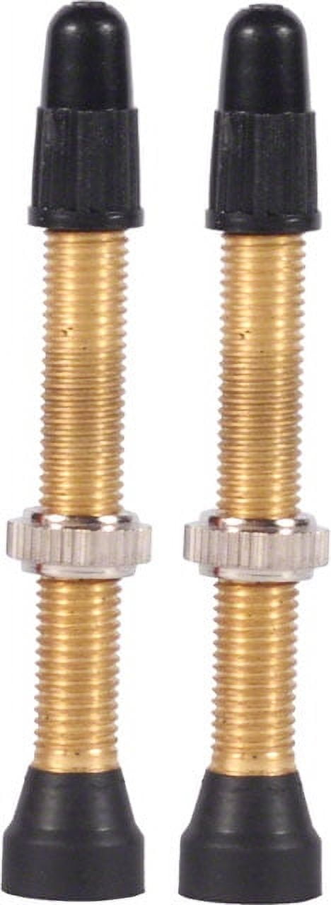 WTB Brass TCS Valve: 34mm Pair - Walmart.com