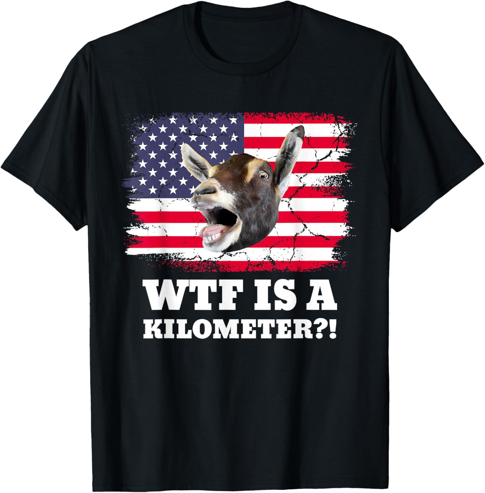 WTF Is A Kilometer American Meme T-Shirt (Size:4XL) - Walmart.com