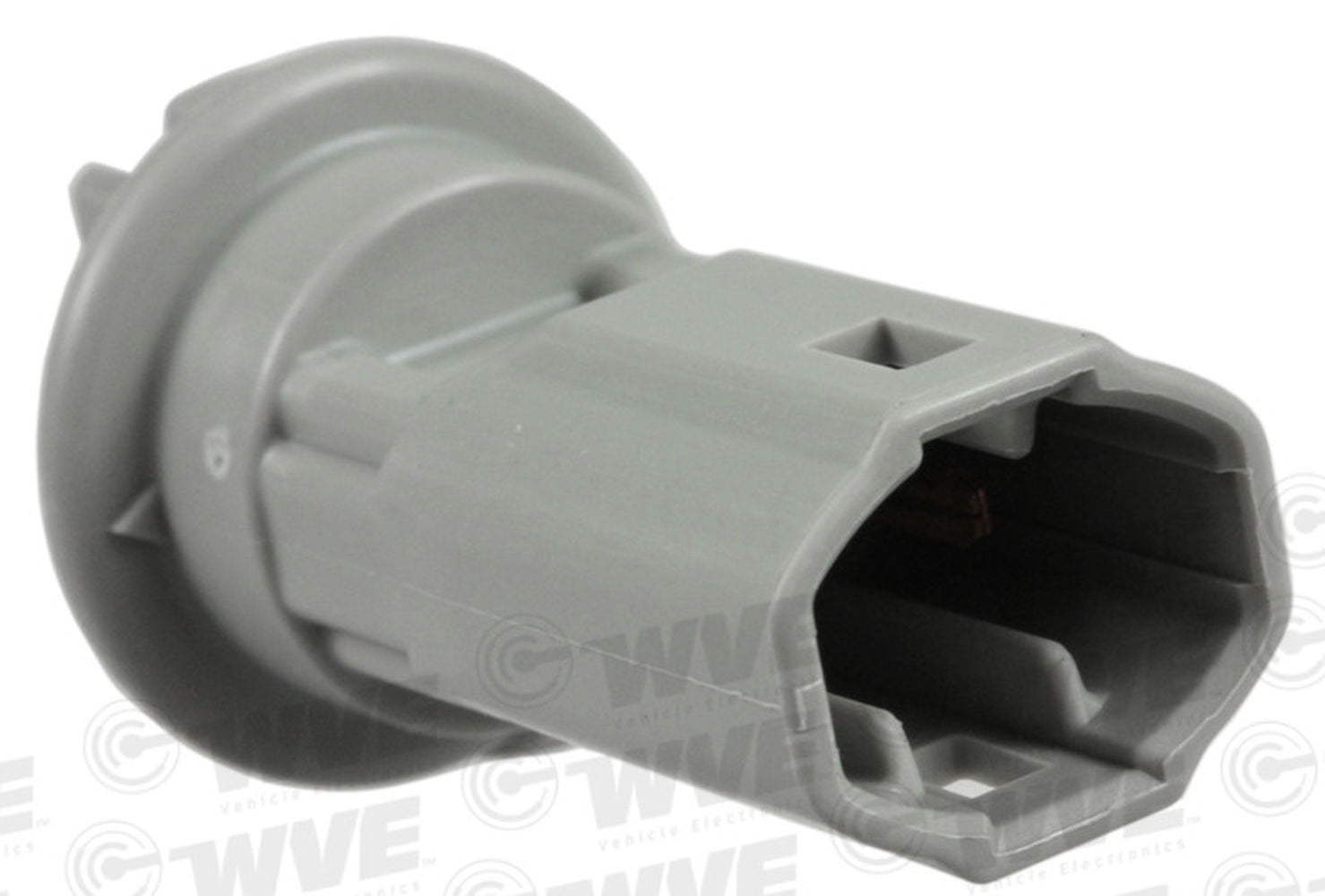 WVE 1P2467 License Plate Light Socket - Walmart.com
