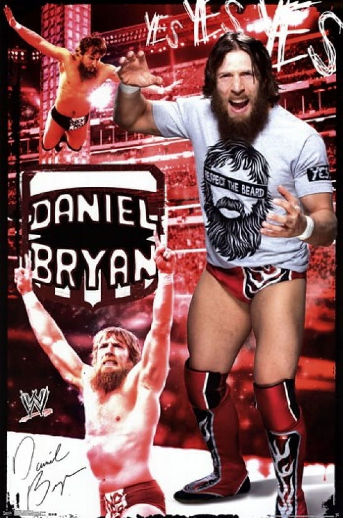 WWE - Daniel Bryan 14 Laminated Poster Print (24 x 36) - Walmart.com
