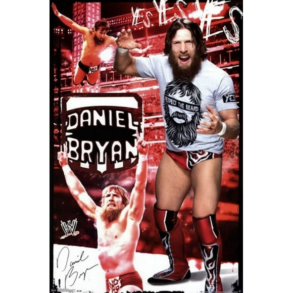 WWE Posters in WWE Home Fan Shop - Walmart.com
