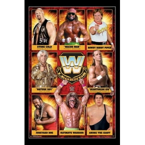 WWE Posters in WWE Home Fan Shop - Walmart.com