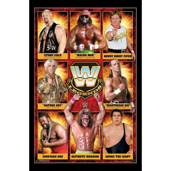 WWE Posters in WWE Home Fan Shop - Walmart.com