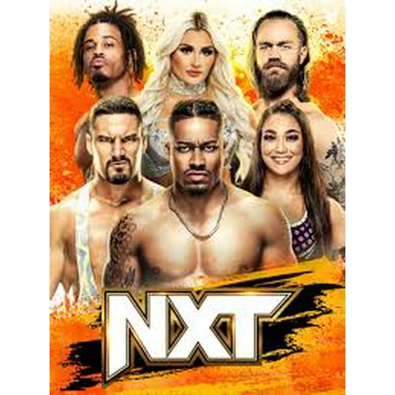 WWE NXT (2025) The Complete Season Ninteen DVD - Walmart.com