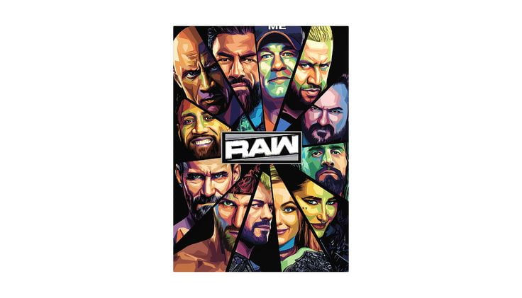 WWE Raw Wrestlers Collage Poster Size 24''x36''-The Future Box ...