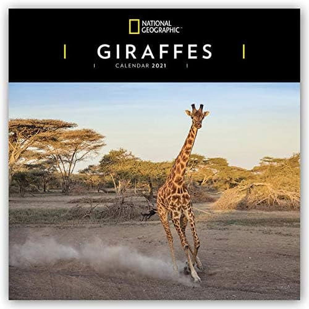 WWF Giraffes - Giraffen 2024: al Carousel-Kalender [Mehrsprachig ...