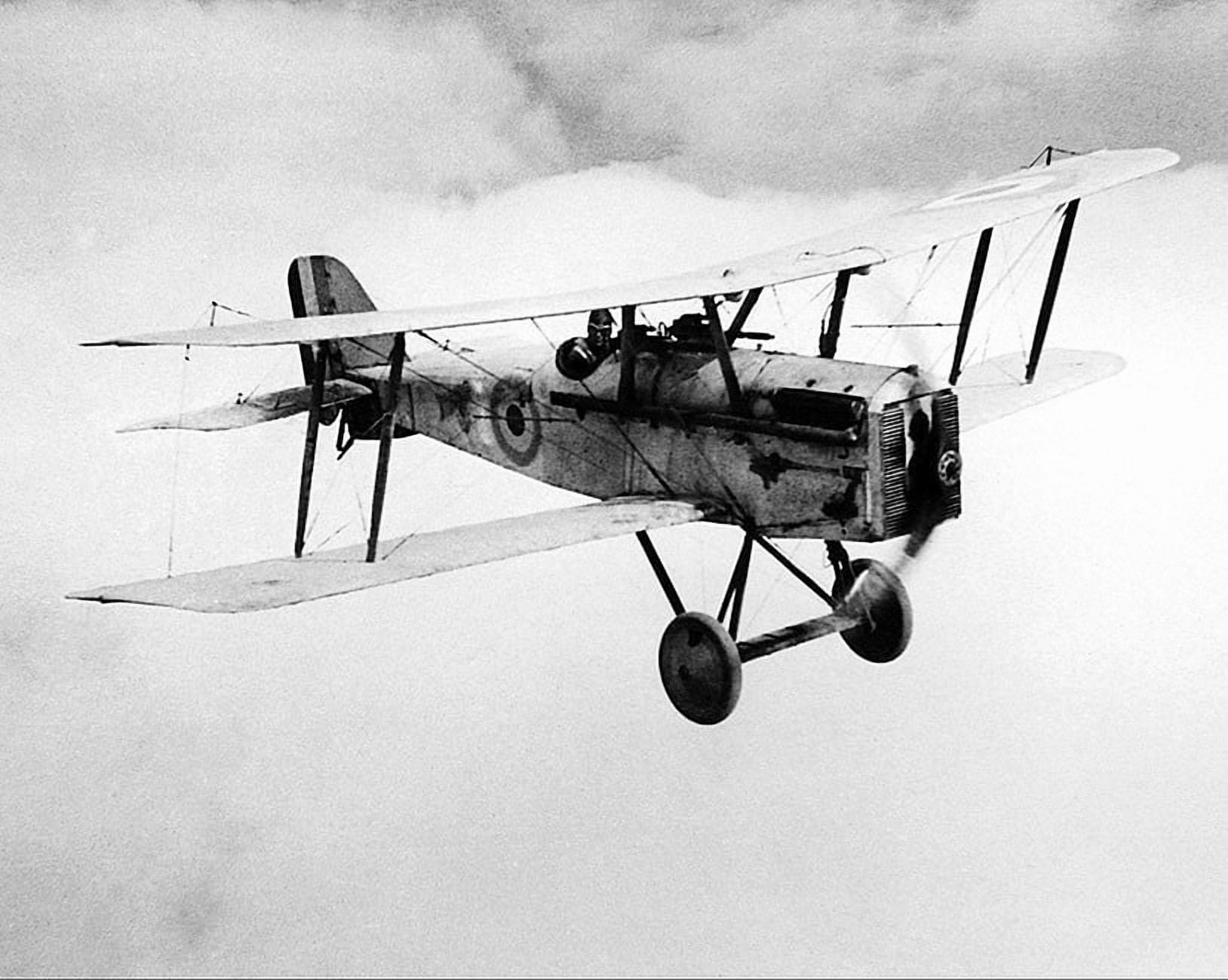 WWI Royal Aircraft Factory S.E.5 Biplane - 20x30 Inch Laminated ...
