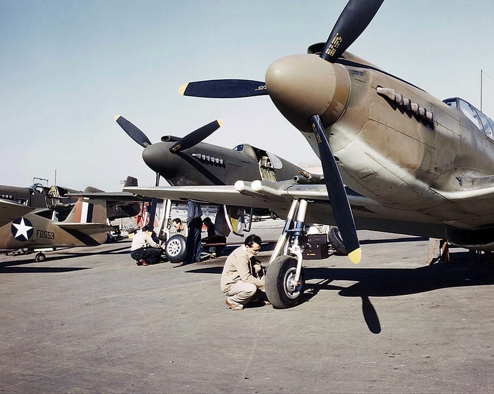 WWII A-36 Apache/Invader Fighter Planes - 20x30 Inch Glossy Laminated ...