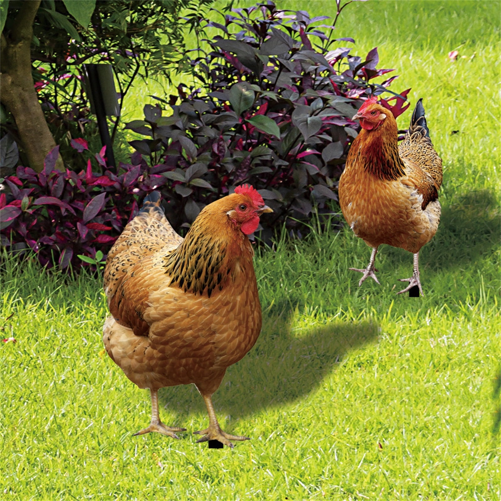 WXC12 Realistic Chicken Statues,Acrylic Rooster Animals Stakes,Animals ...