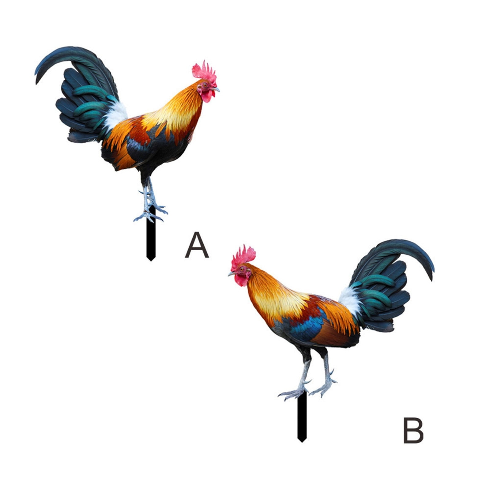 WXC12 Realistic Chicken Statues,Acrylic Rooster Animals Stakes,Animals ...