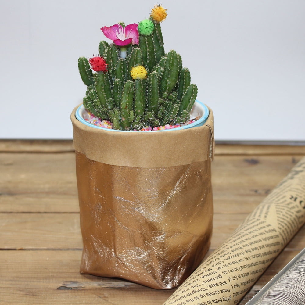 WXC12 Washable Kraft Paper Bag Plant Flowers Pots Multifunction Home ...