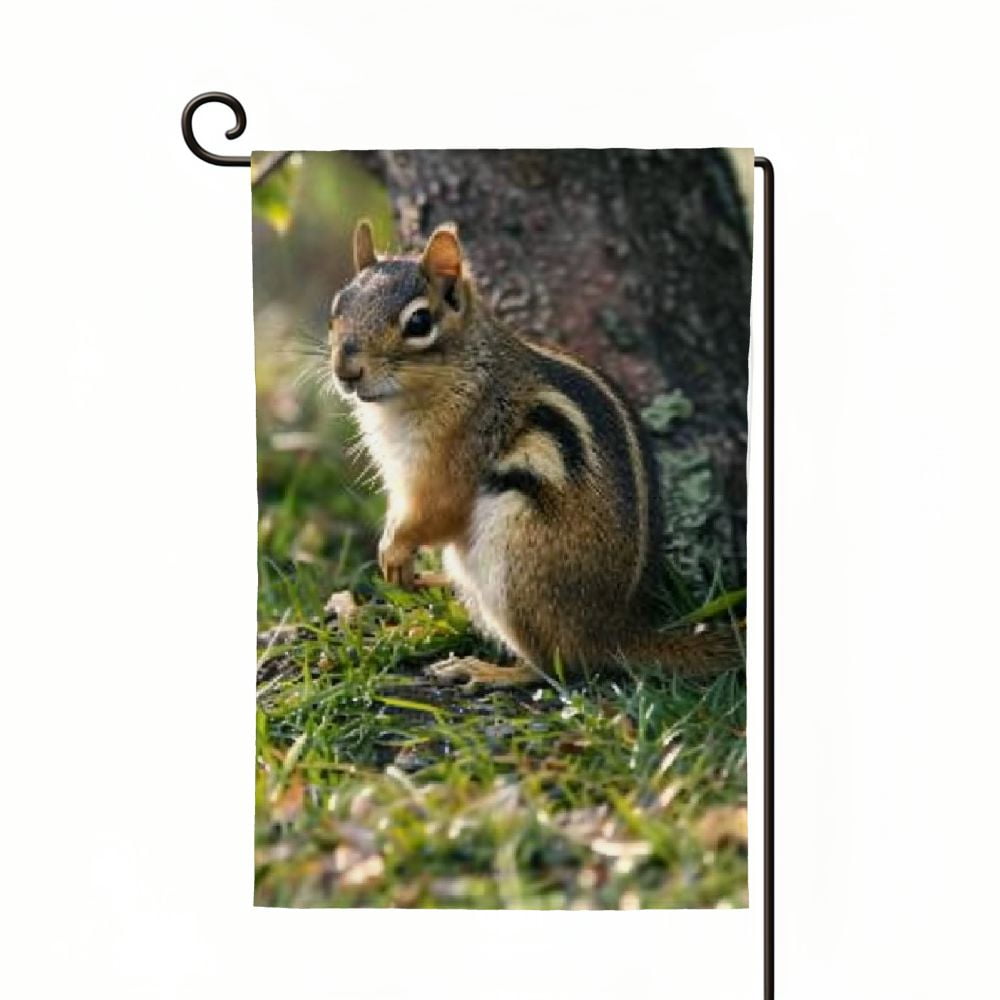 WXKJ Garden Flags for Outside Chipmunk Animal Squirrel Garden Spring ...
