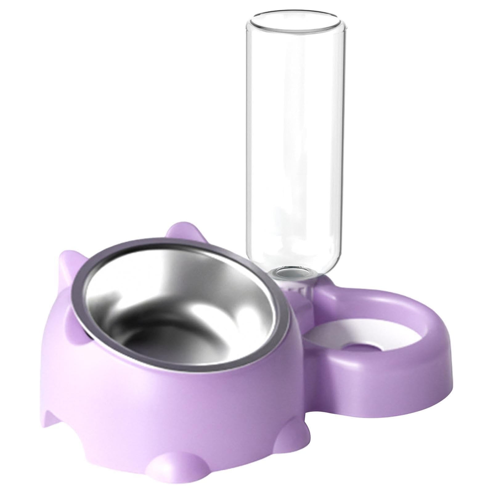 WXLCISI Stainless Steel Cat Food Bowl and Water Bowl Set, 2 in 1 Tilted ...