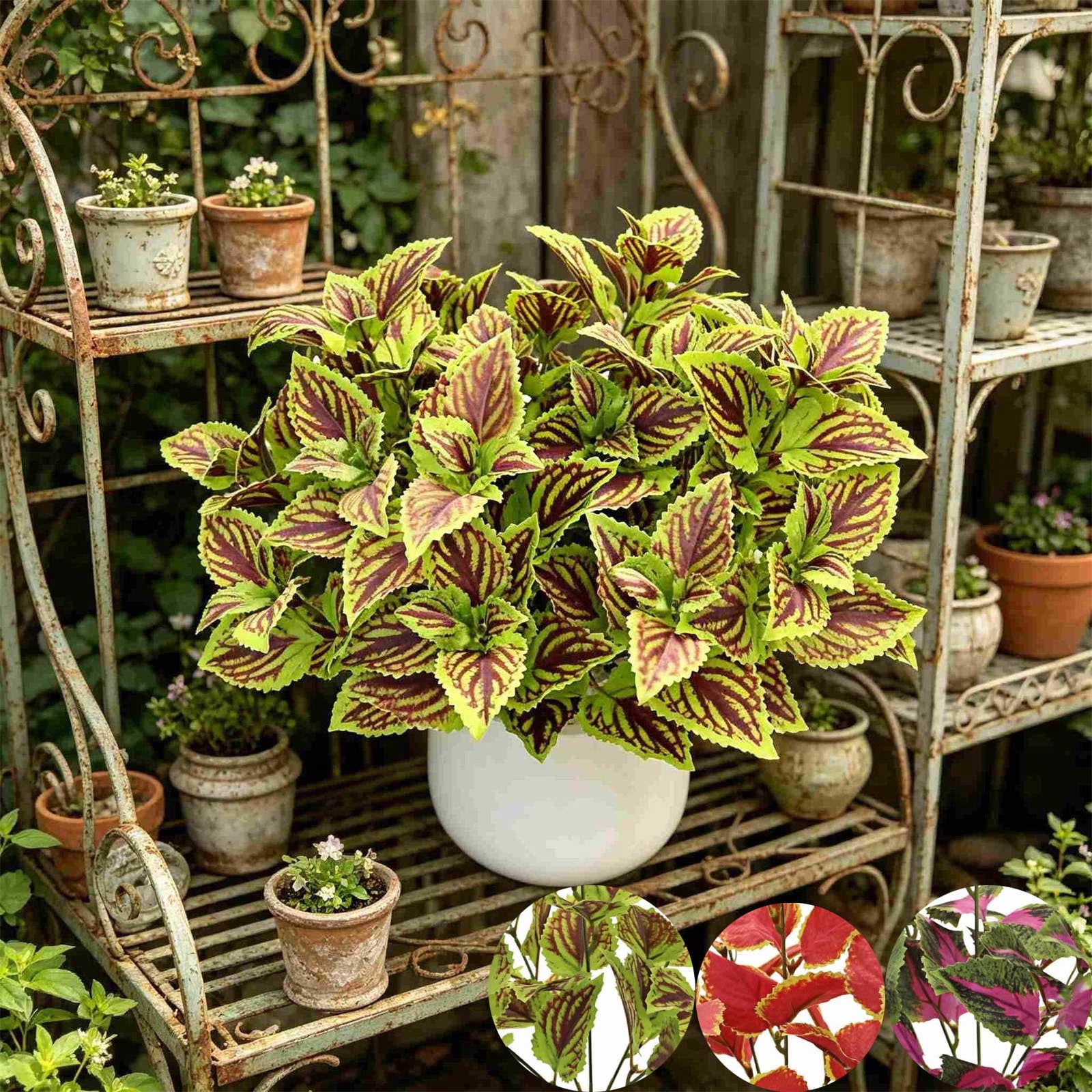 WYBXZ Purple Artificial Perilla for Home Decor, Faux Leaves Plant for ...