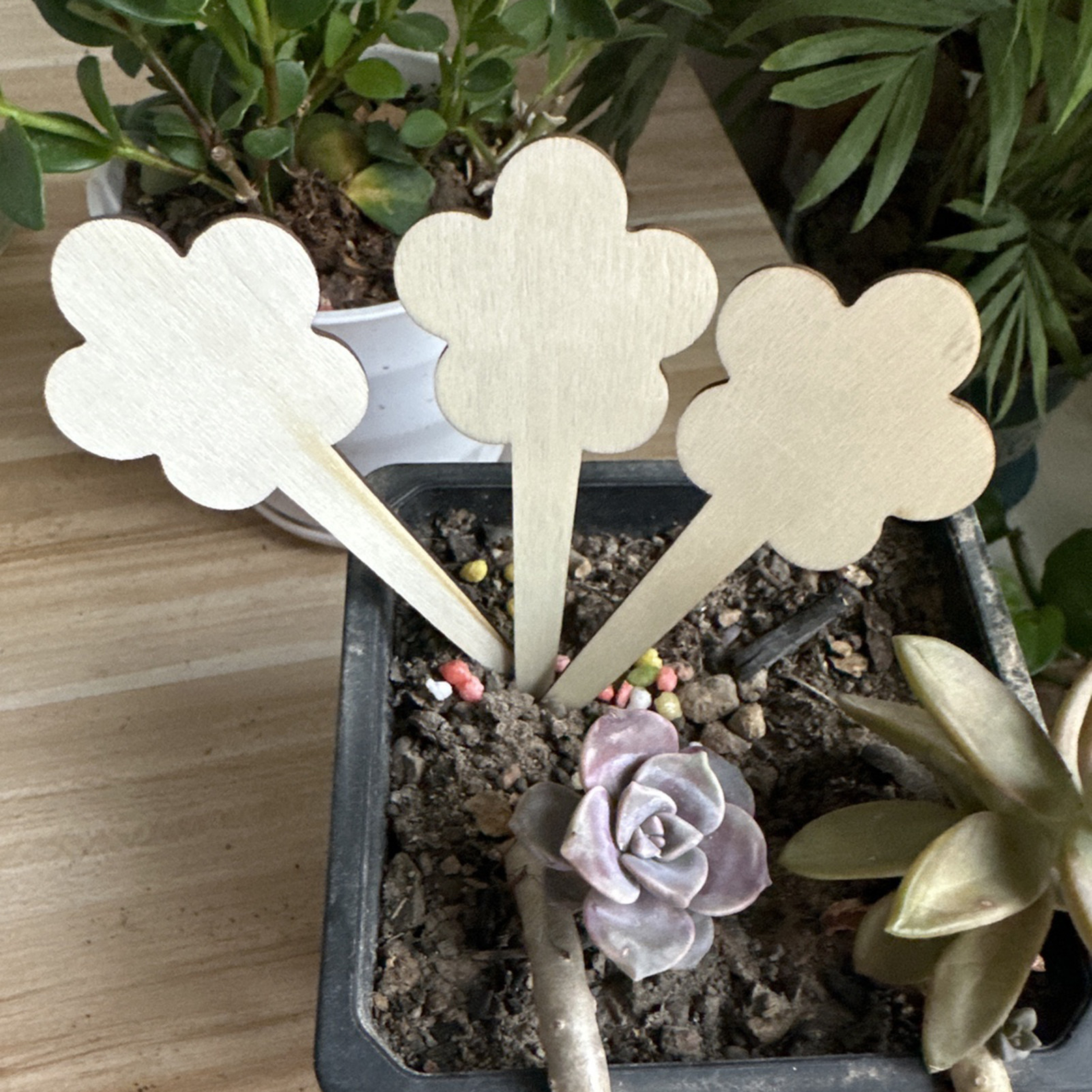 WYFCFF Ground Insert Weather-resistant Flower Shape Plant Labels ...