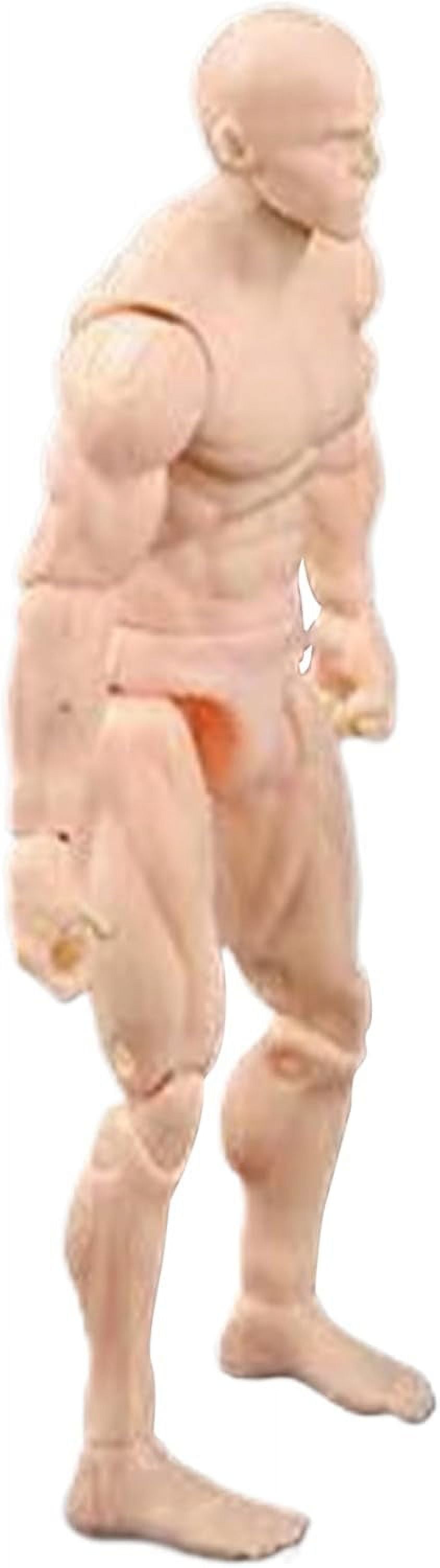 WYJ Action Figure Body, 4.1 Inch PVC Blank Action Figure, DIY Poseable ...