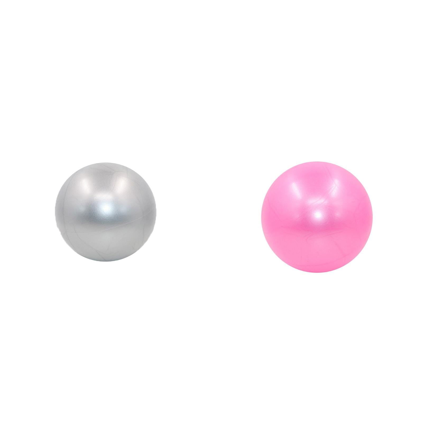 WYQLFSB 2Pcs 9.8 Inch Exercise Ball Stability Ball Fitness Ball ...