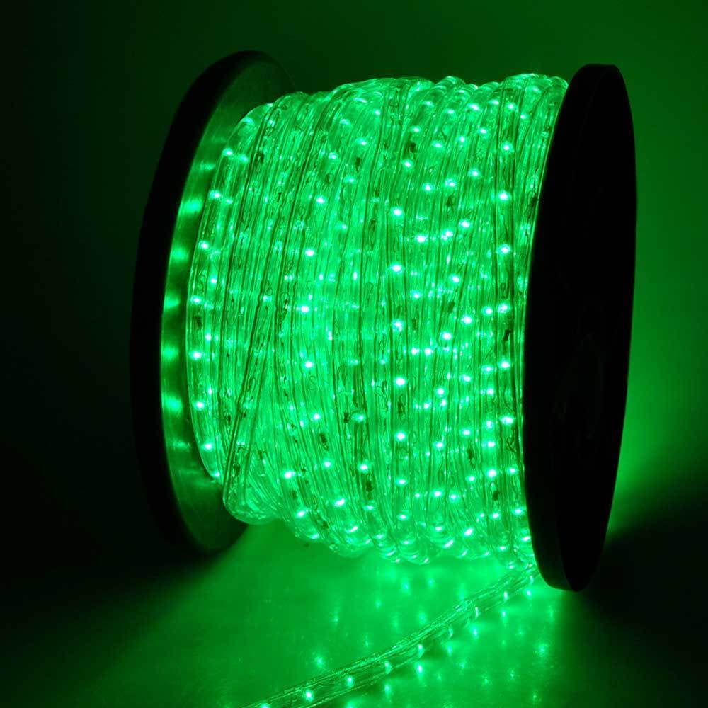 Free Shipping! WYZworks 100 feet LED Rope Lighting (GREEN) Cool White ...