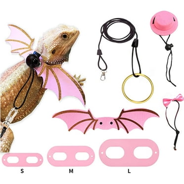 Vehomy 3Pcs Bearded Dragon Shark Outfit - S M L Lizard Reptile Shark ...