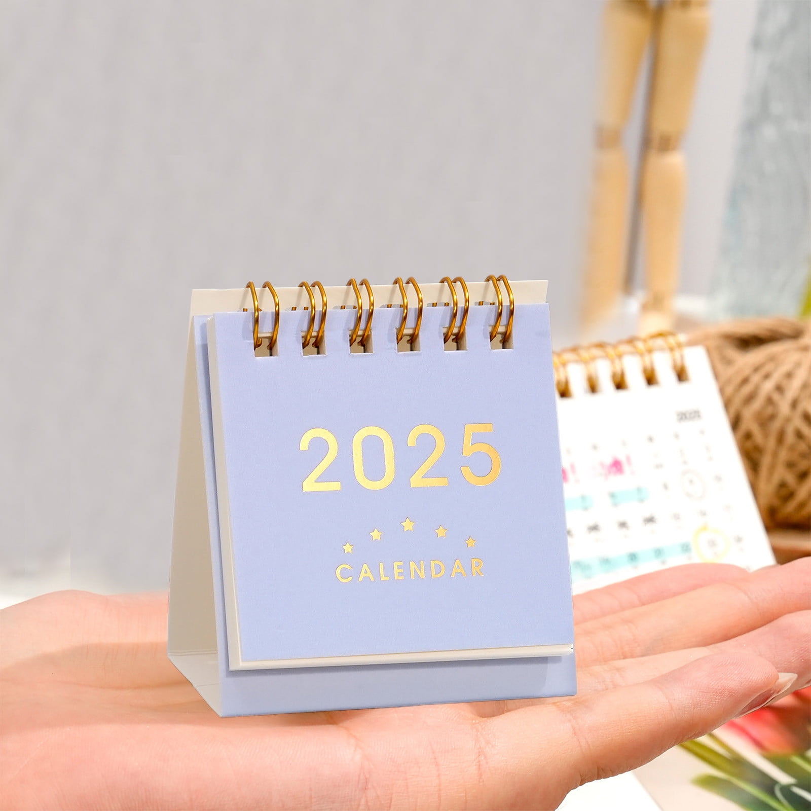 WZXPWT Mini Desk Calendar, 2025 Standing Flip Desktop Calendar, Planner ...