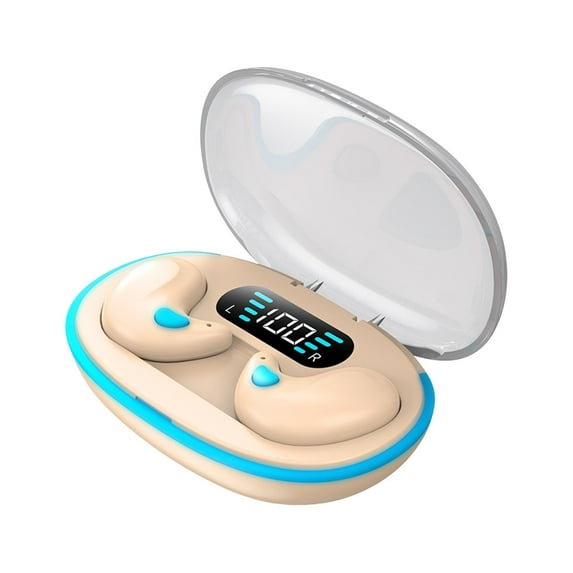 WZXPWT Translation Earbuds, Two-Way Real-Time Translation Earbuds for ...