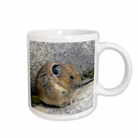 3drose, Wa, Mount Rainier Np, American Pika Wildlife - Us48 Jwi2094 ...