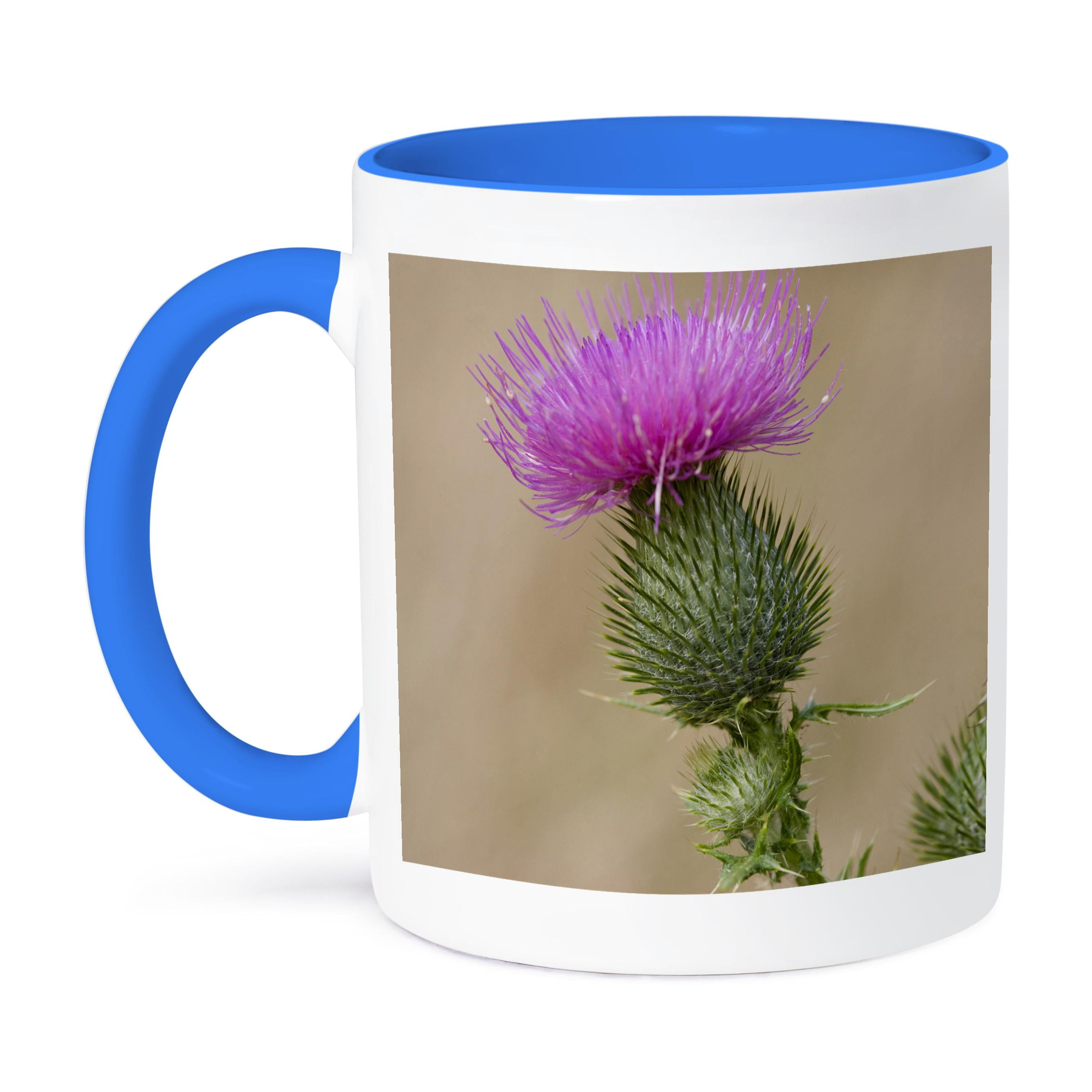 Wa, Redmond, Bull Thistle, Sunflower Family - Us48 Jwi2151 - Jamie And ...