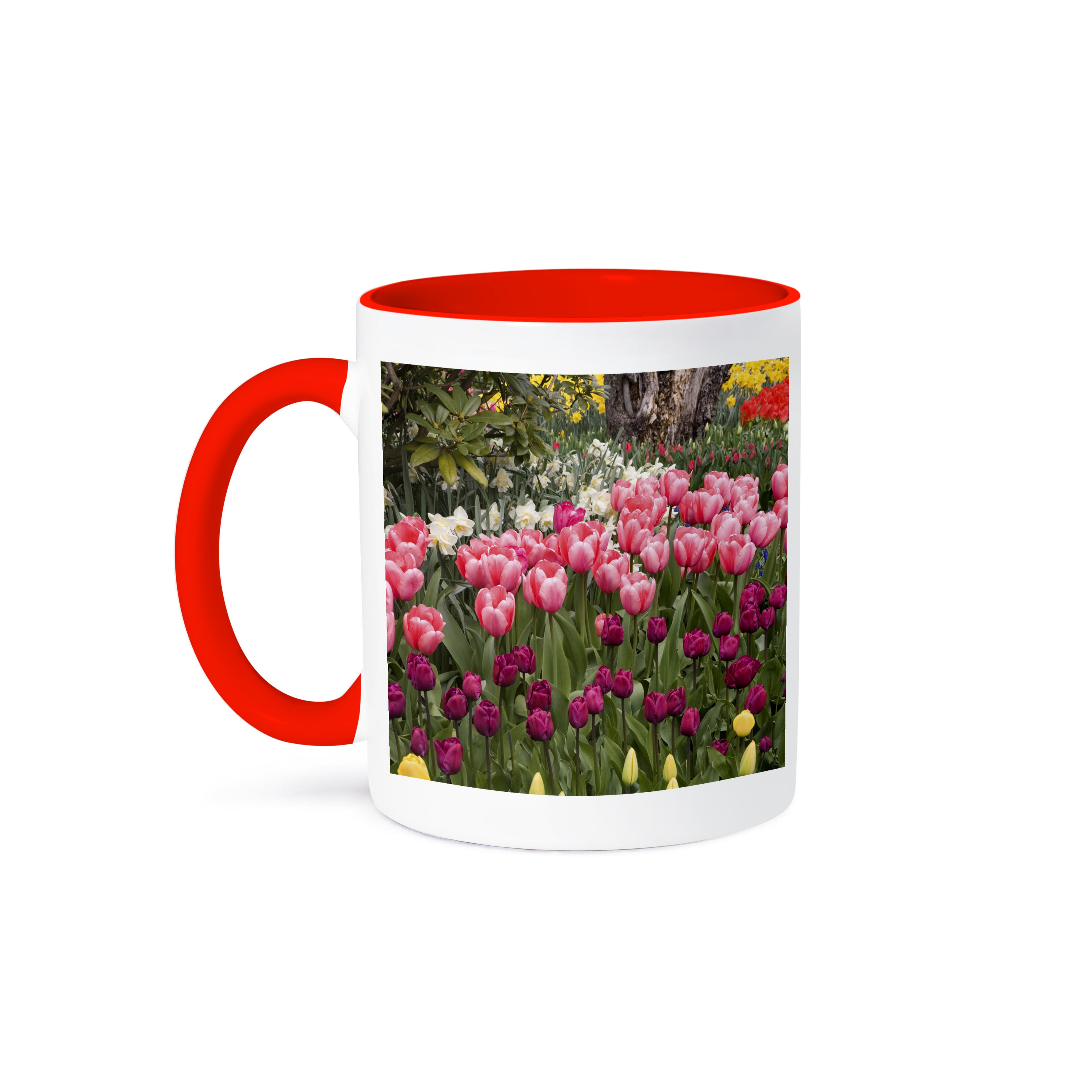 3drose, Wa, Skagit Valley, Tulip Festival Flower Garden - Us48 Jwi0946 ...