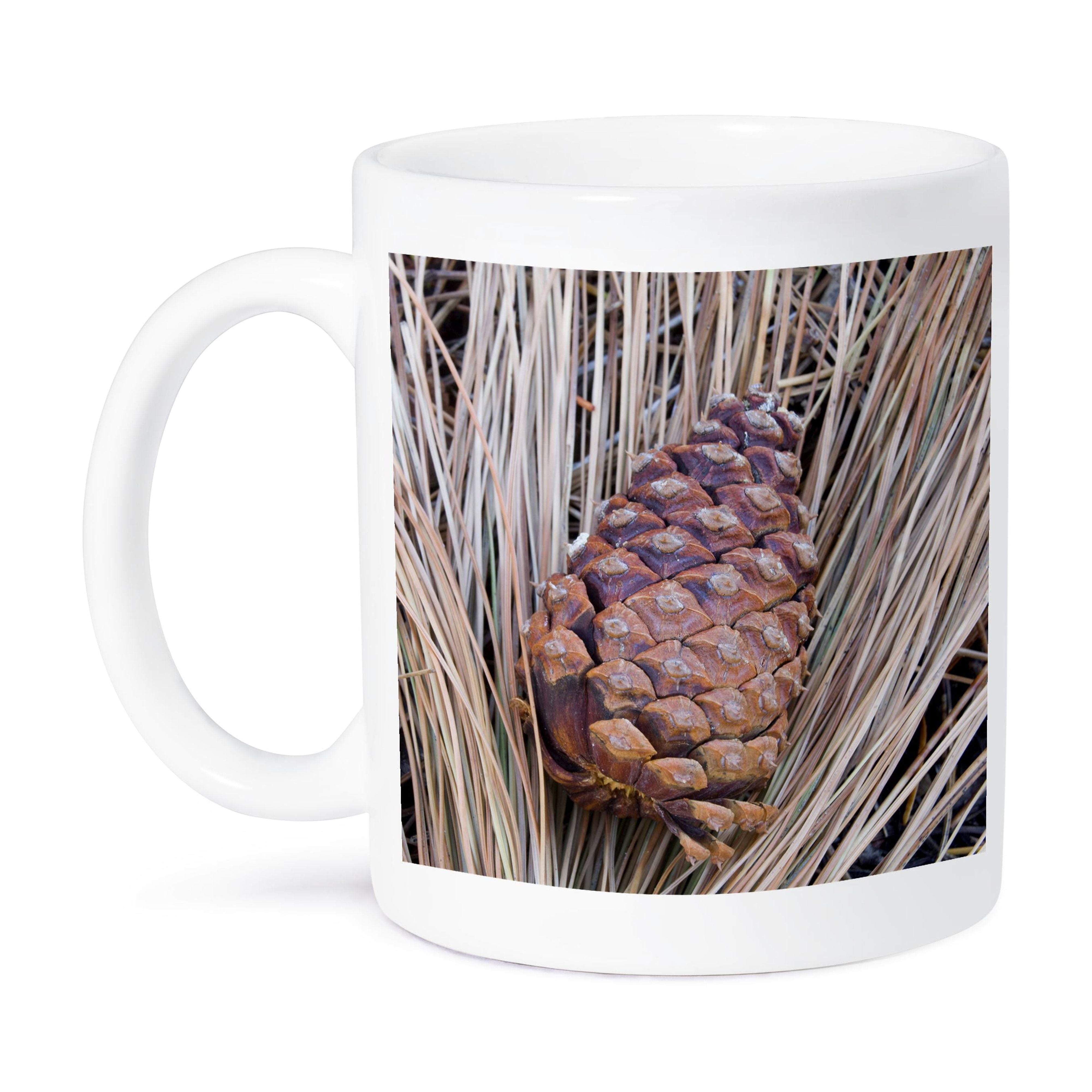 Wa, Wenatchee National Forest, Ponderosa Pine - Us48 Jwi1788 - Jamie ...