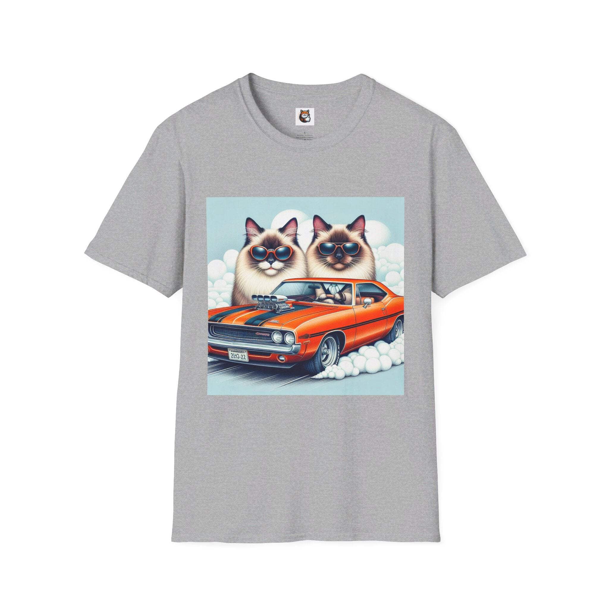 Wacky Birman Domestic Cat - Walmart.com