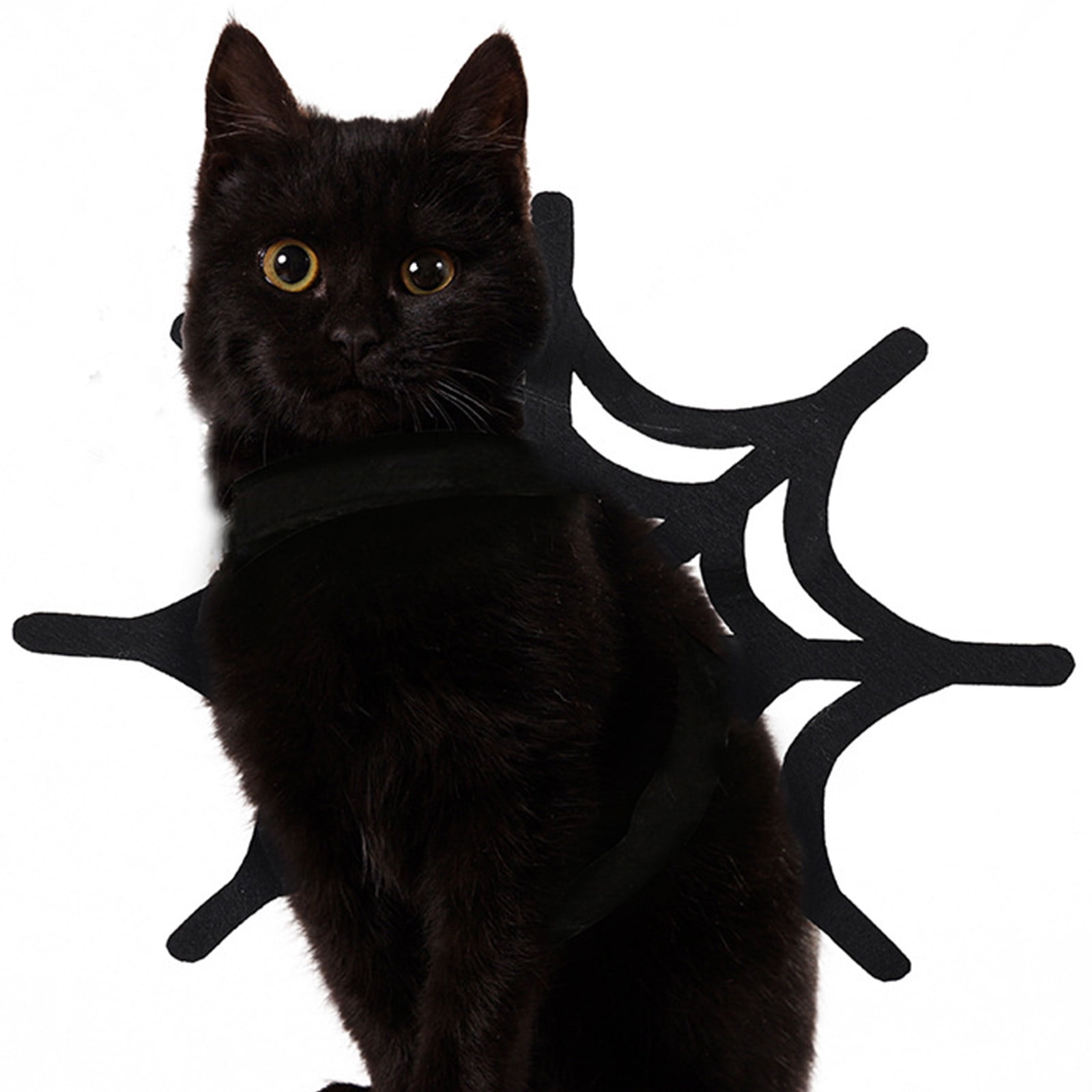 Wadada Halloween Spider Costume for Dog Cat, Halloween Dogs Cats ...