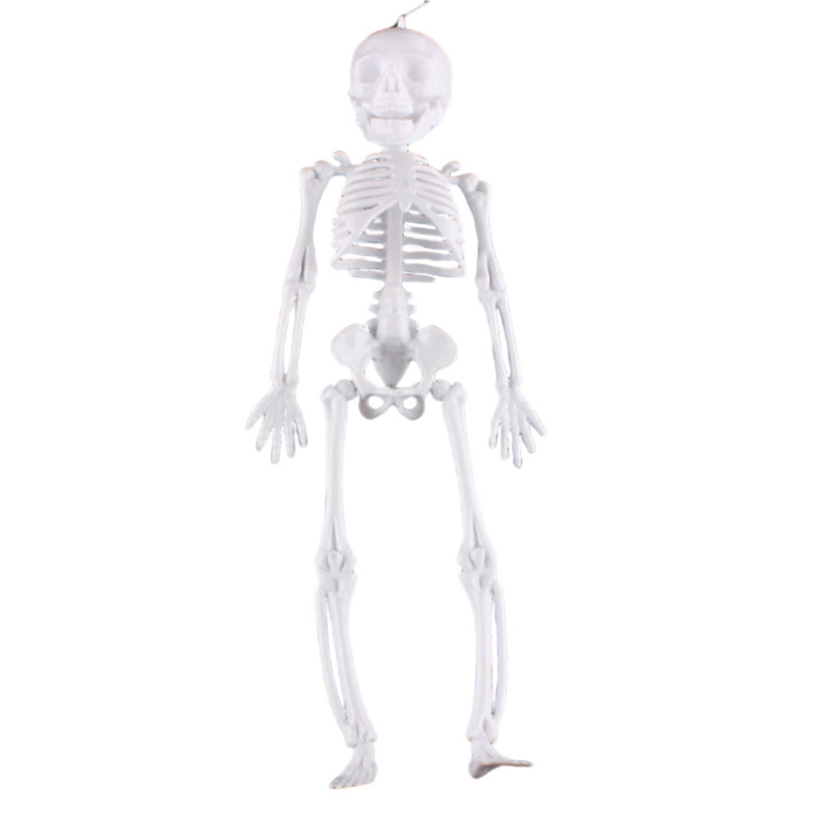 Wadada Posable Halloween Skeleton,Full Body Skeleton Decoration Movable ...