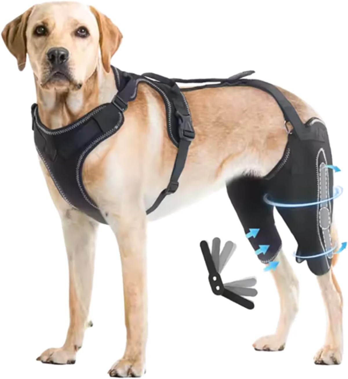 Wag Wize Knee Brace Harness for Dogs — Immediate Pain Relief & Improve ...