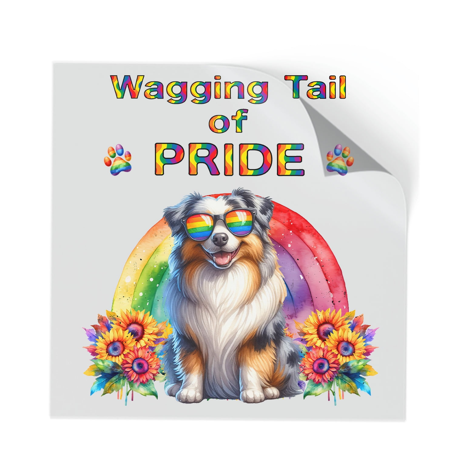 Wagging Tail Australian Shepherd Celebrates Rainbow Pride Month LGBT ...