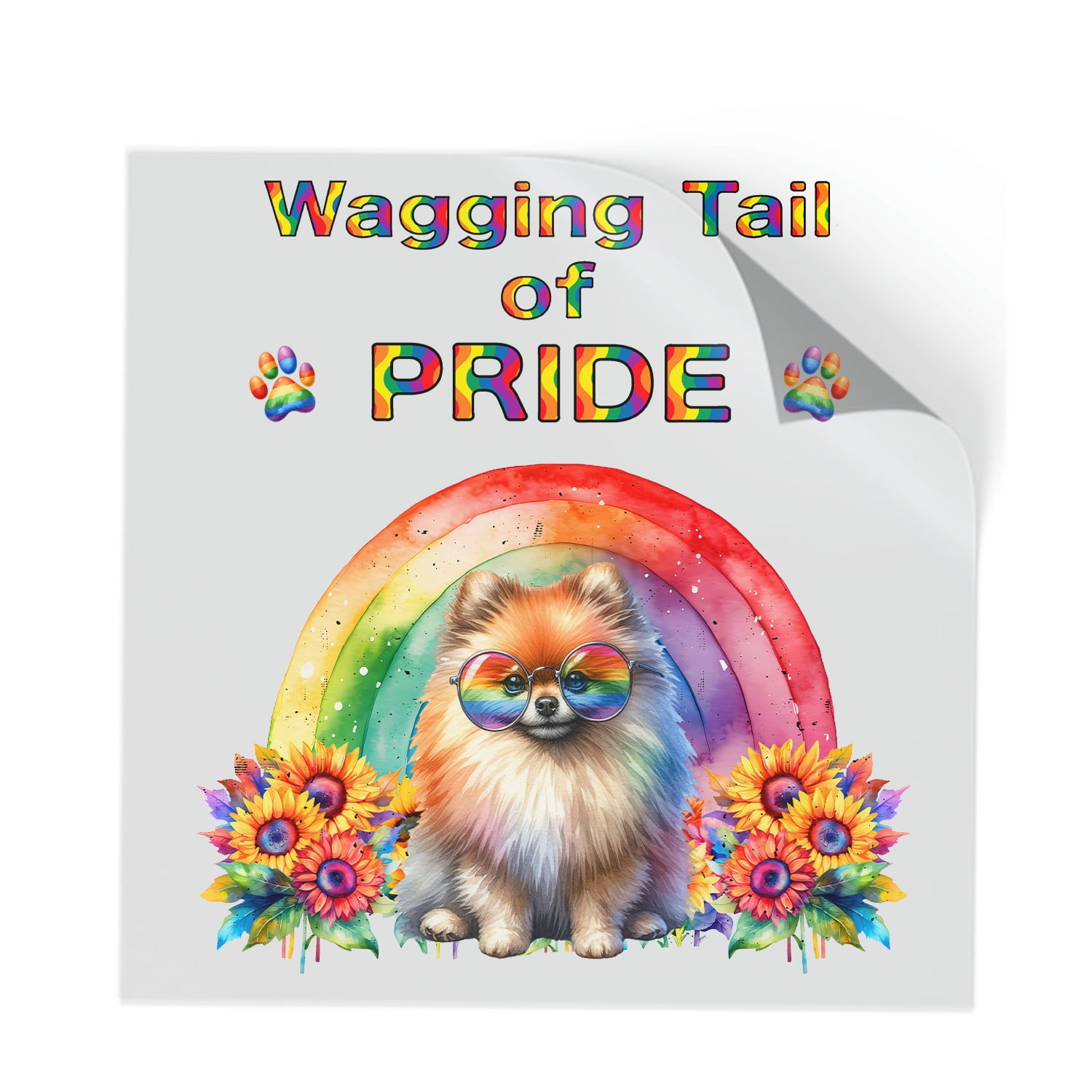 Wagging Tail Pomeranian Celebrates Rainbow Pride Month LGBT LGBTQ+ ...