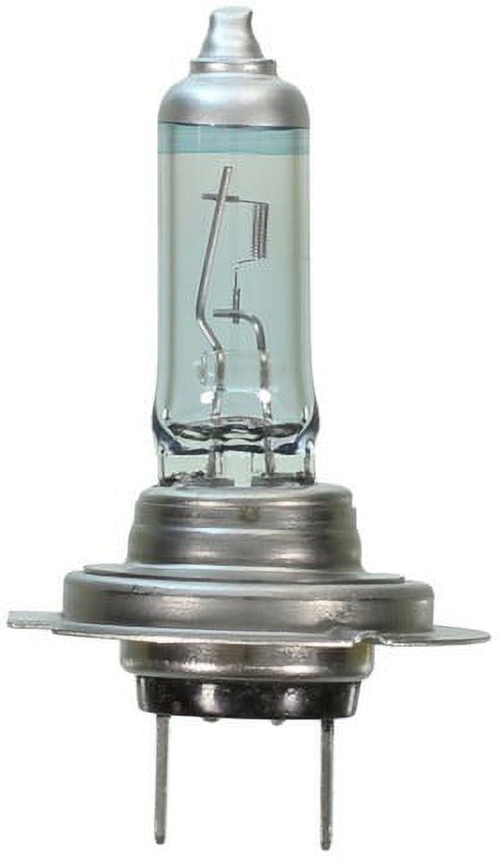Wagner Lighting Cornering Light Bulb,Daytime Running Light Bulb,Fog ...