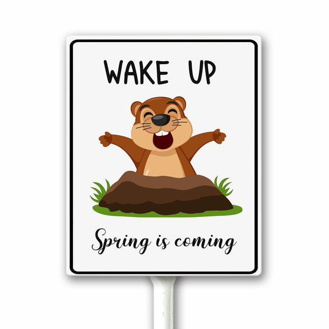 Wake Up Spring Is Coming Sign Funny Groundhog Day Decor Sign (12x8)IN ...