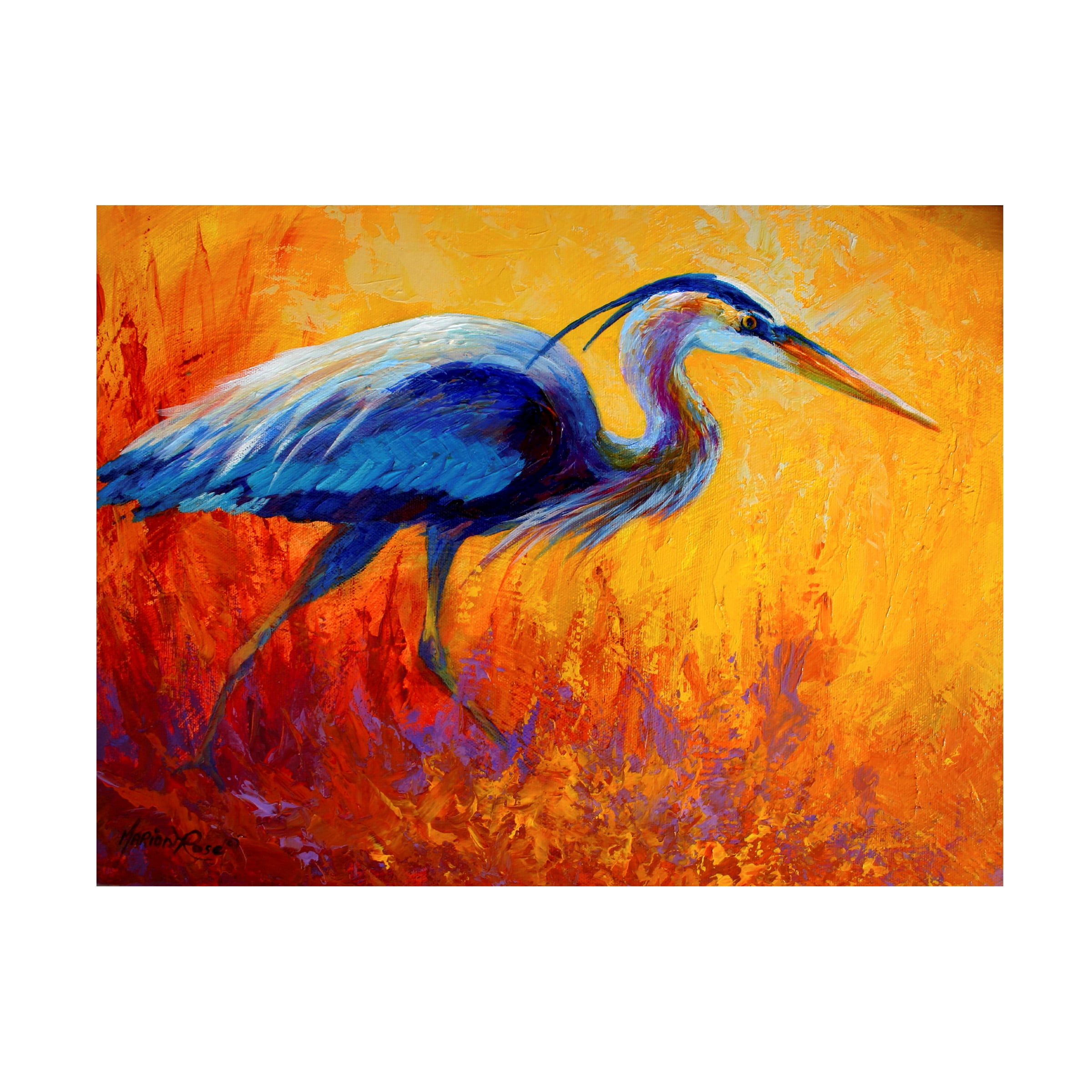 Marion Rose 'Daddy Long Legs III' Canvas Art - Walmart Business Supplies