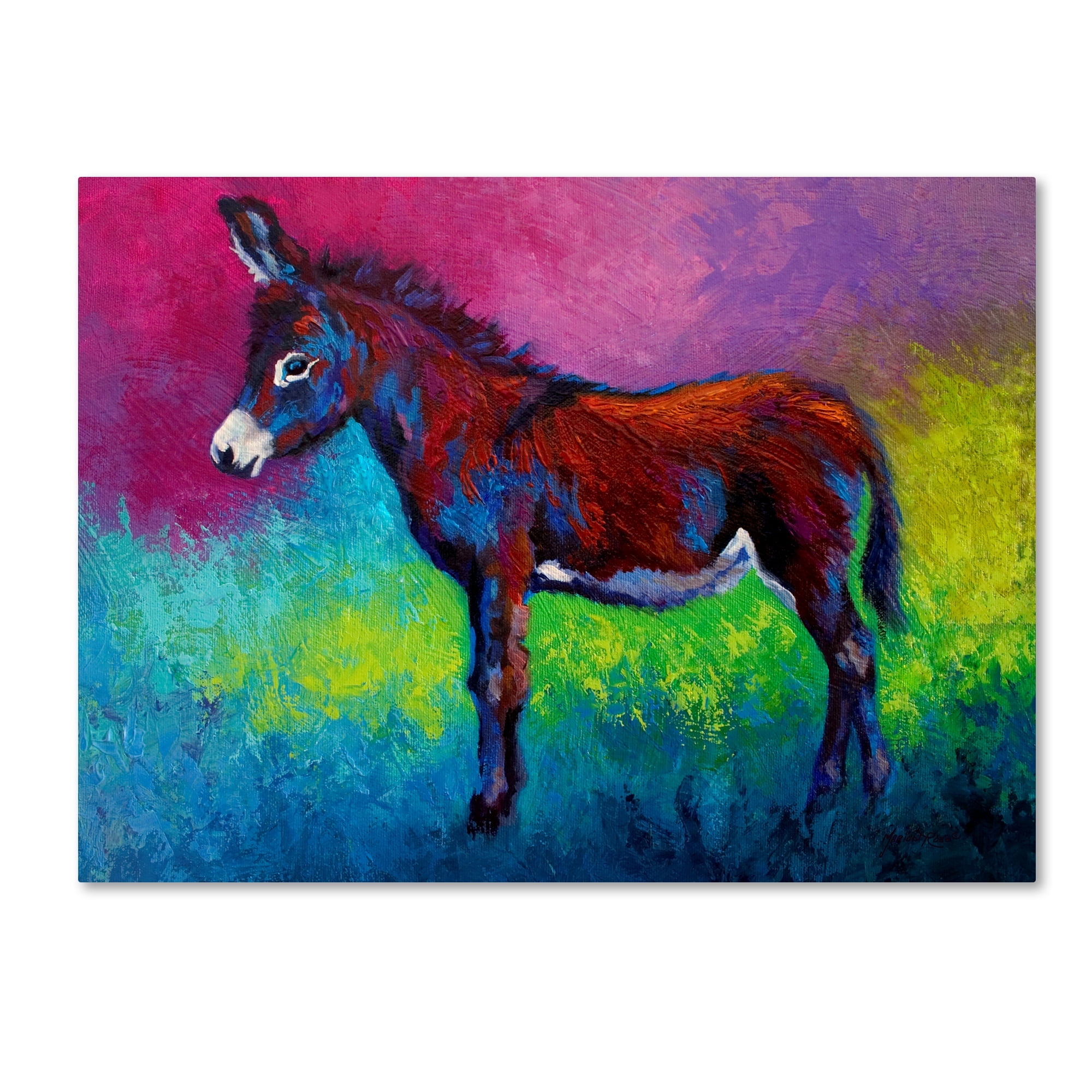 Marion Rose 'Donkey Jenny' Canvas Art - Walmart.com