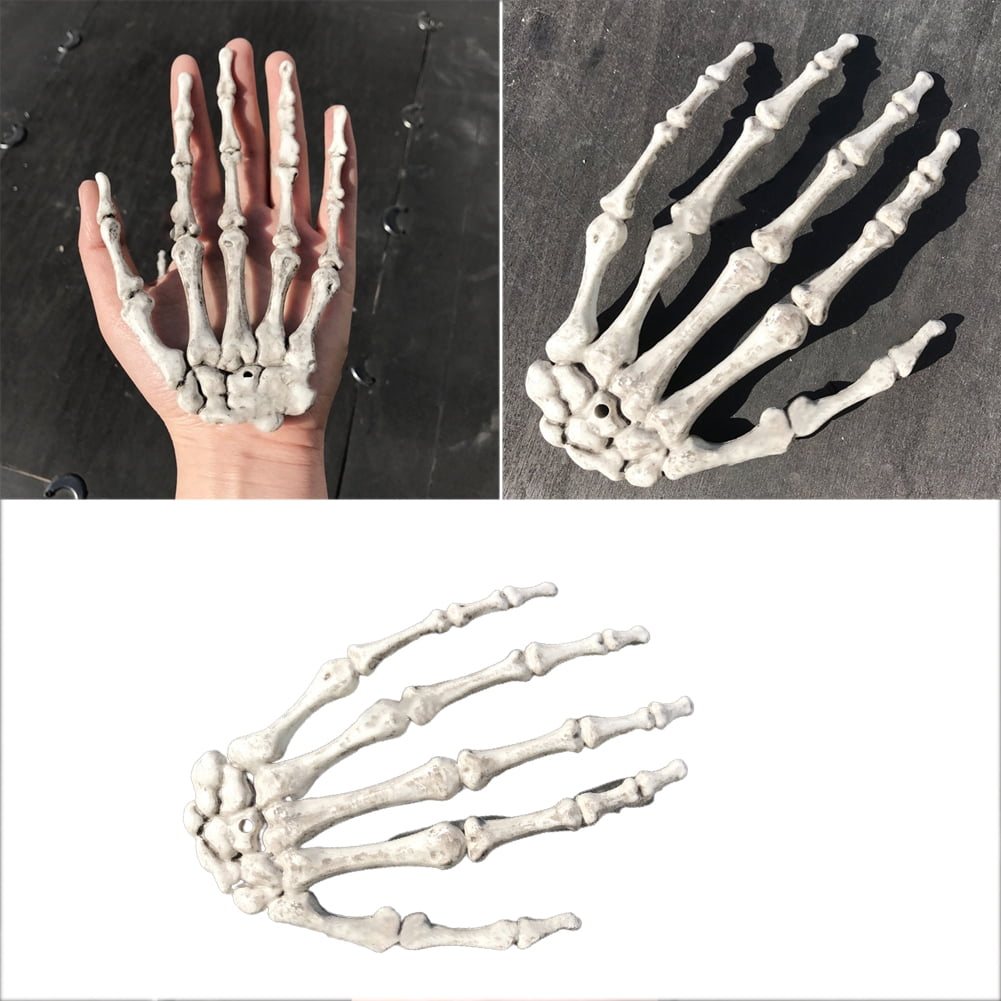 Walbest 1 Pc Halloween Skeleton Hand Plastic Hand Skeleton Model for ...