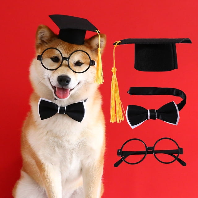 Walbest 1 Set Pet Graduation Suit Adorable Adjustable with Tassel Felt ...