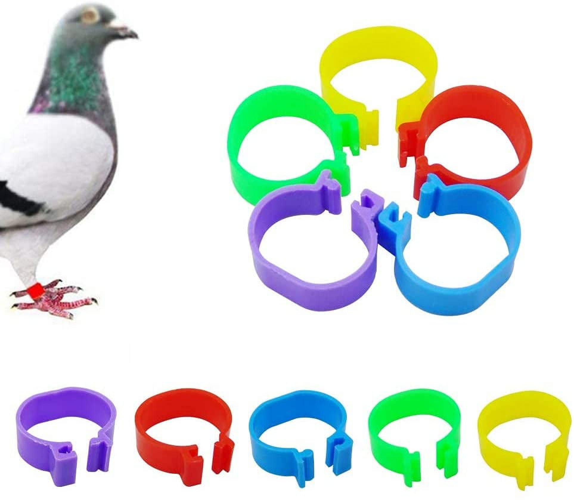 Walbest 100 Pieces Chicken Bird Leg Rings Chicken Identification Leg ...