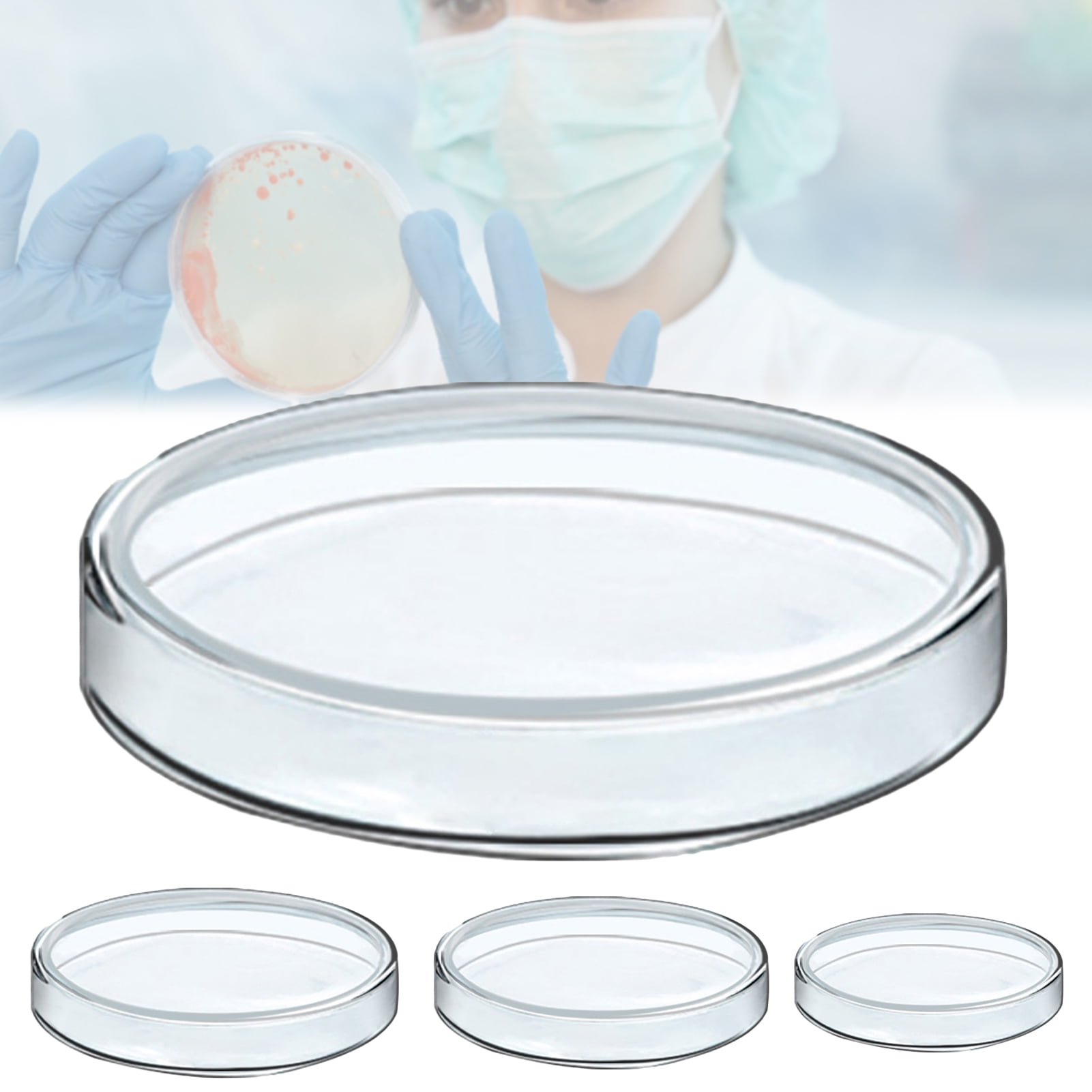 Walbest 1Pc Professional Glass Culture Dish with Lid, 60/75/90/100ml ...