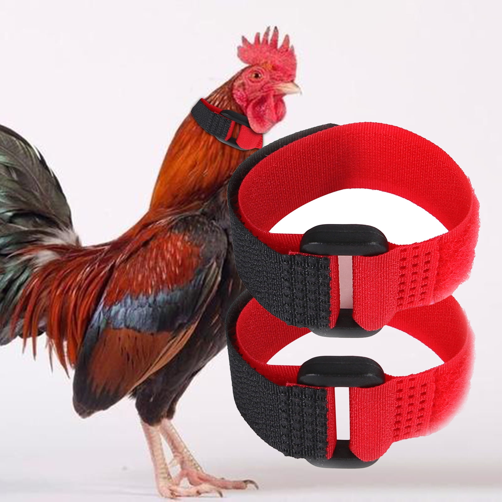 Walbest 2 Pack Chicken Collars Anti Crow Noise Free Rooster Belt ...