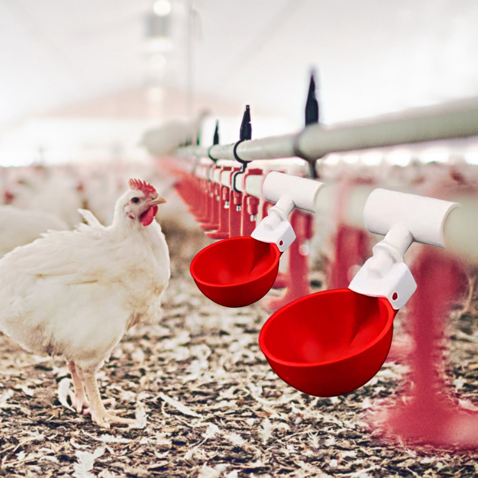 Walbest 5Pcs Chicken Drinker with 1/2" PVC Tee Fittings Chicks Duck ...