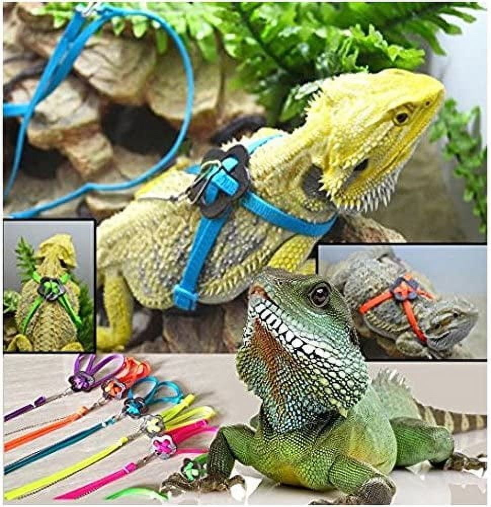 Walbest Adjustable Reptile Lizard Turtle Harness Leash Multi Color ...