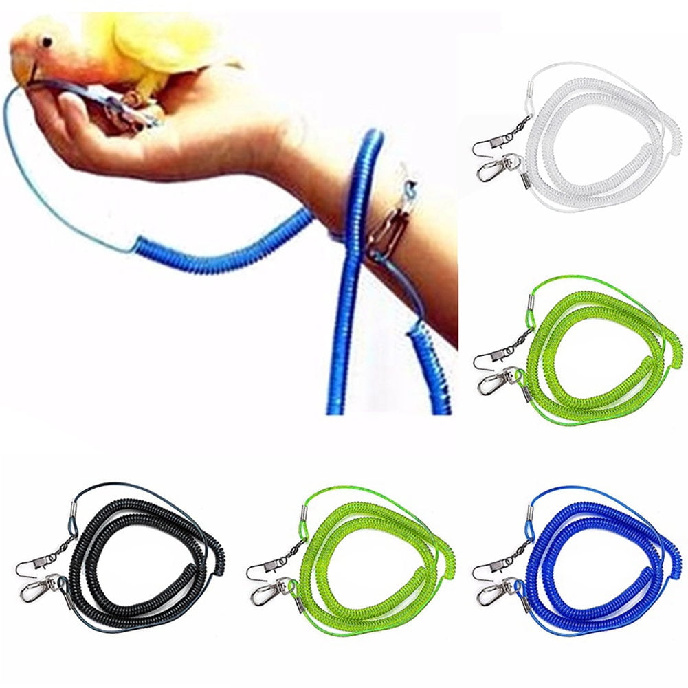 Walbest Beauty Parrot Bird Training Rope and Leash Outdoor Flying Anti ...